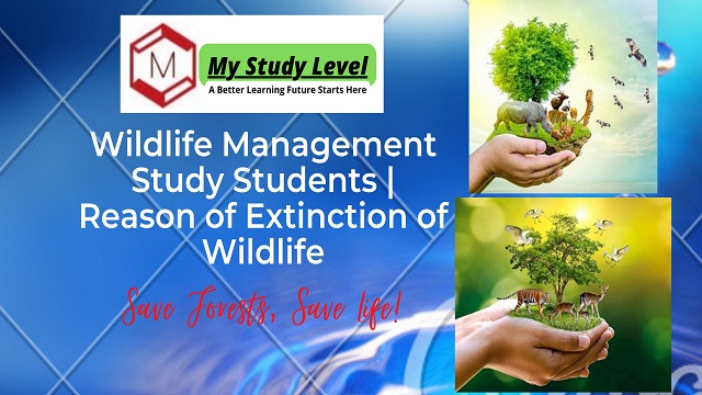 Wildlife Conservation Study Reason Of Extinction Of Wildlife My 