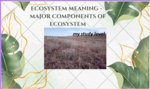 Ecosystem Meaning - Major Components of Ecosystem - My Study Level