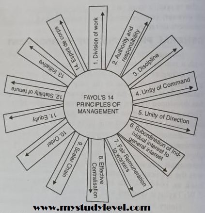 Henry Fayol 14 General Principles of Management - My Study - My Study Level